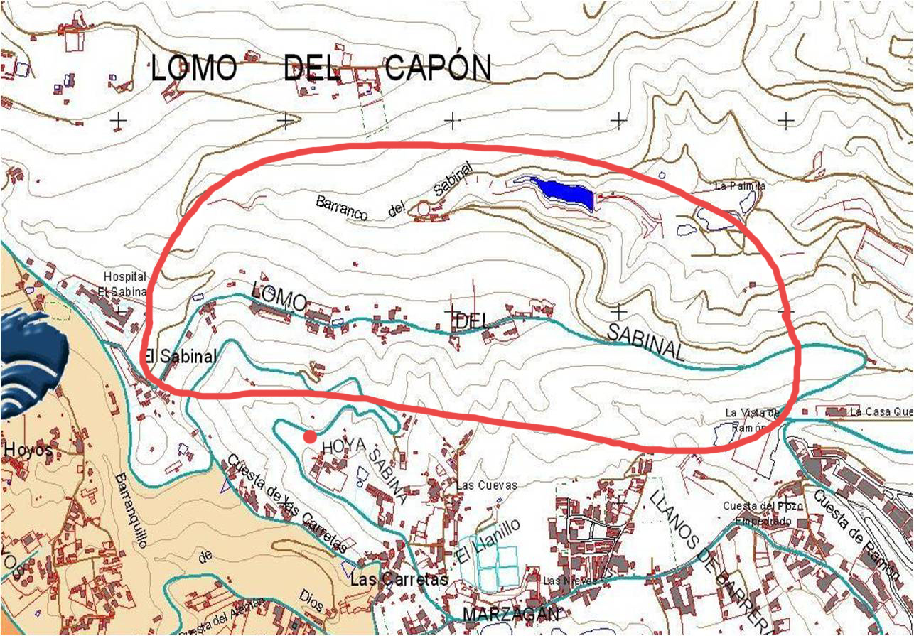 Mi Gran Canaria: SABINAL, EL Y LOMO DEL (LAS PALMAS DE GC)