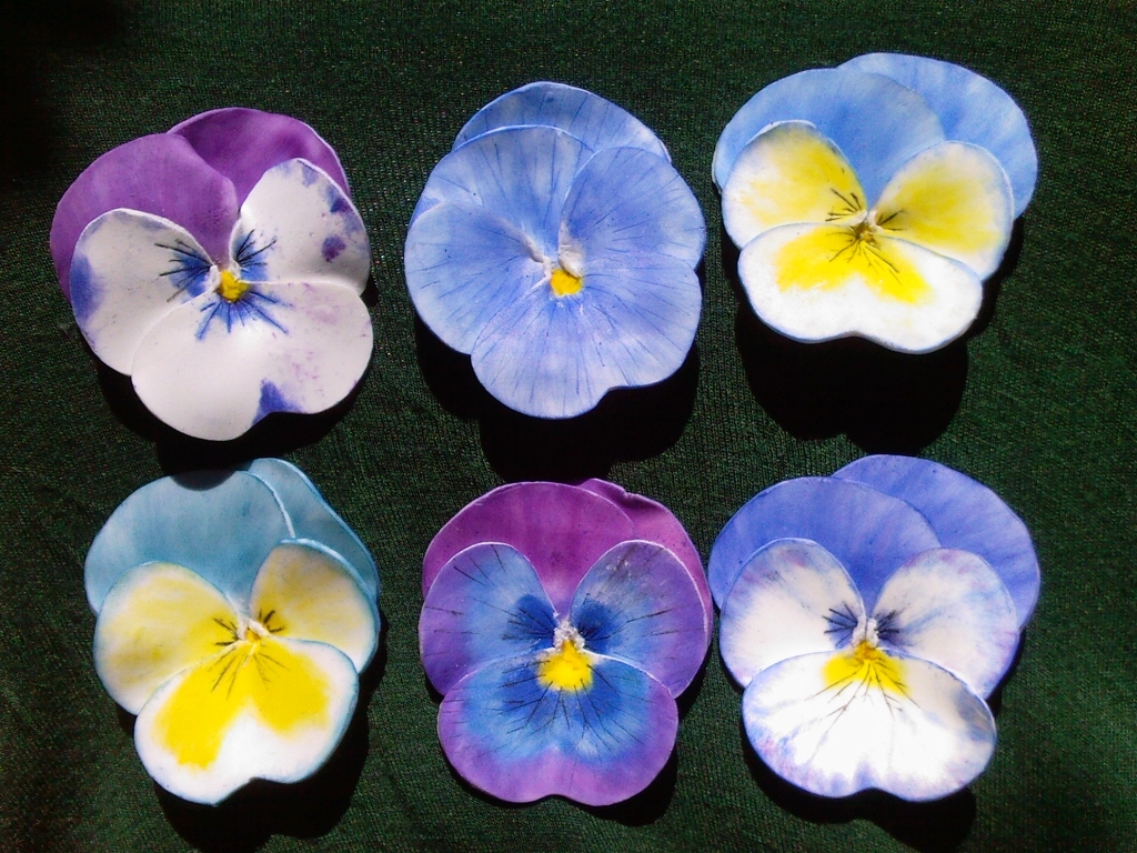 Handmade Creations: Panselute din gradina