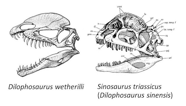 Extinct Animal of the Week: Heads and Tails
