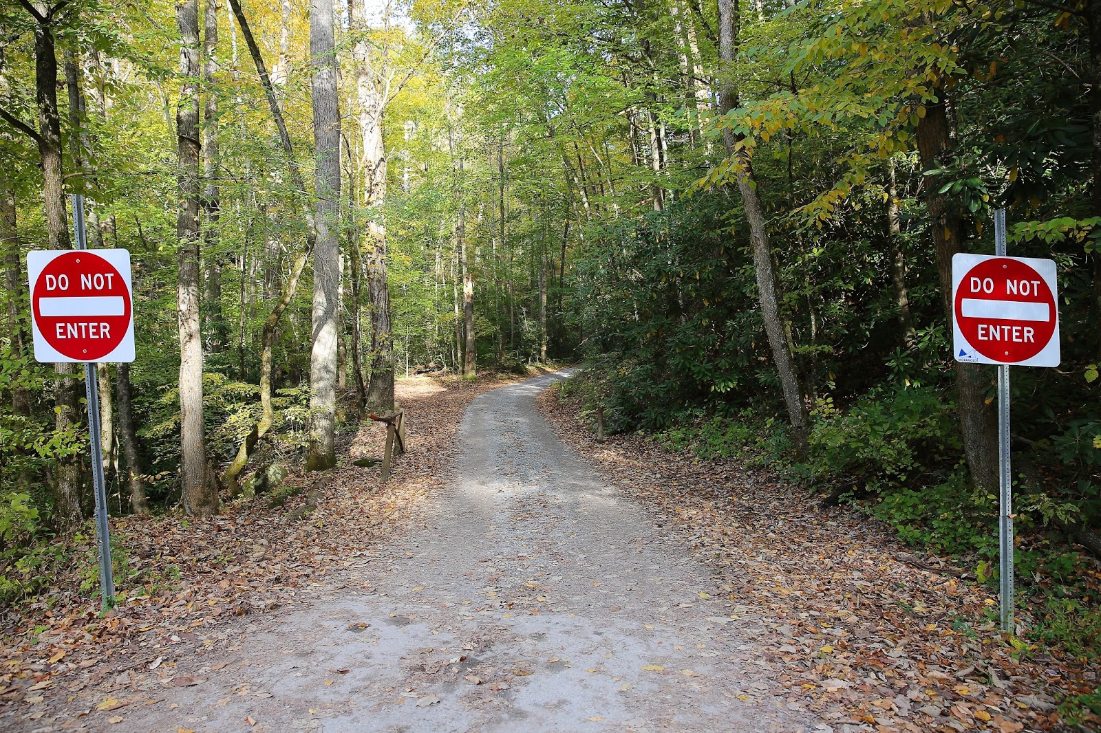 Sweet Southern Days: Parson Branch Road In The Great Smoky Mountains ...