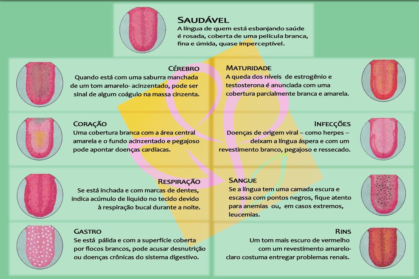 Você sabia que a lingua é um bom medidor da saúde? ~ Dentopolis