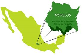 Estado de Morelos