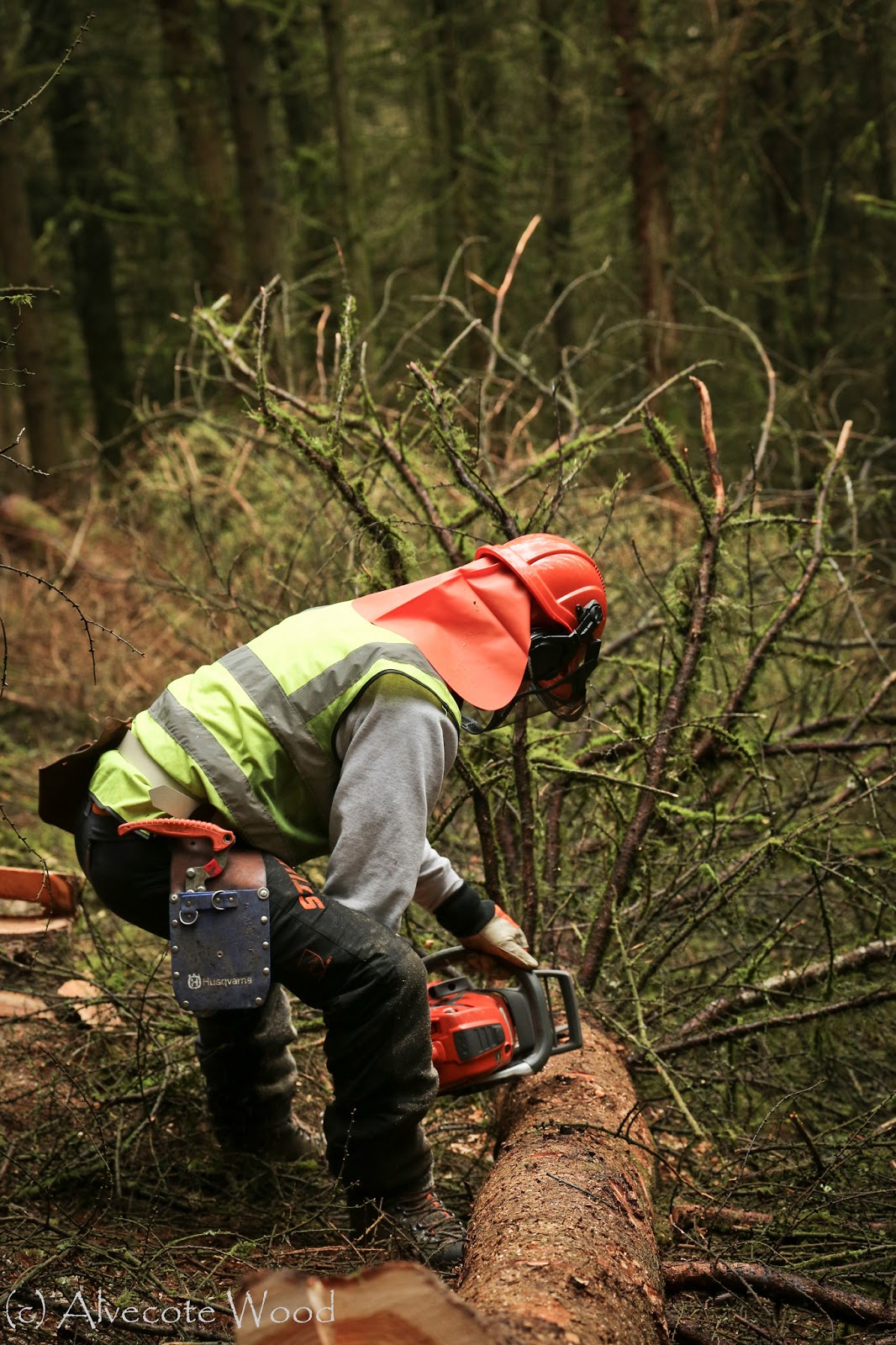Chainsaw Training – Alvecote Wood