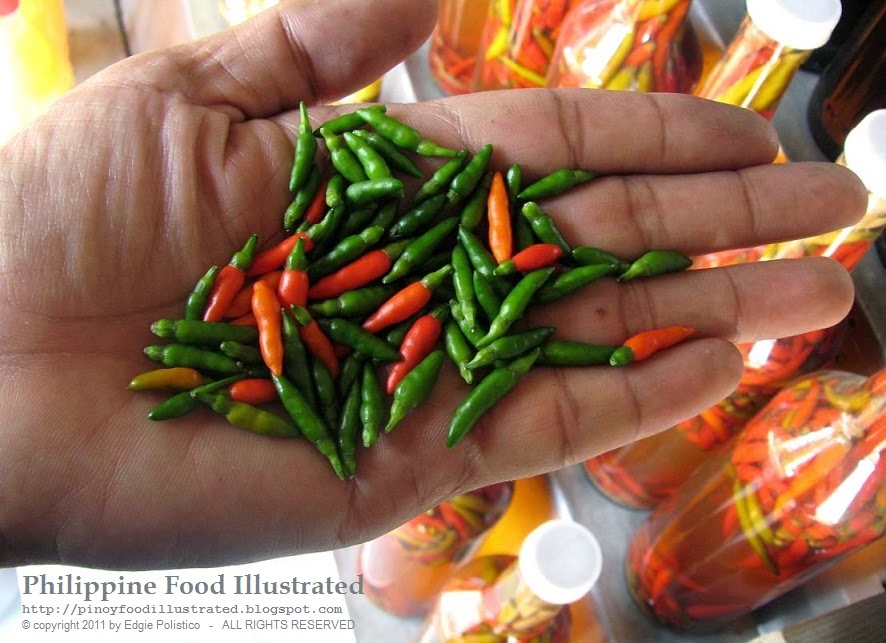 Philippine Food Illustrated: siling labuyo