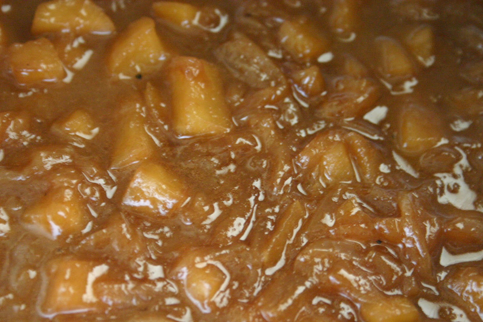 WOOL AND WATER: Caramelized Onion & Apple Compote...