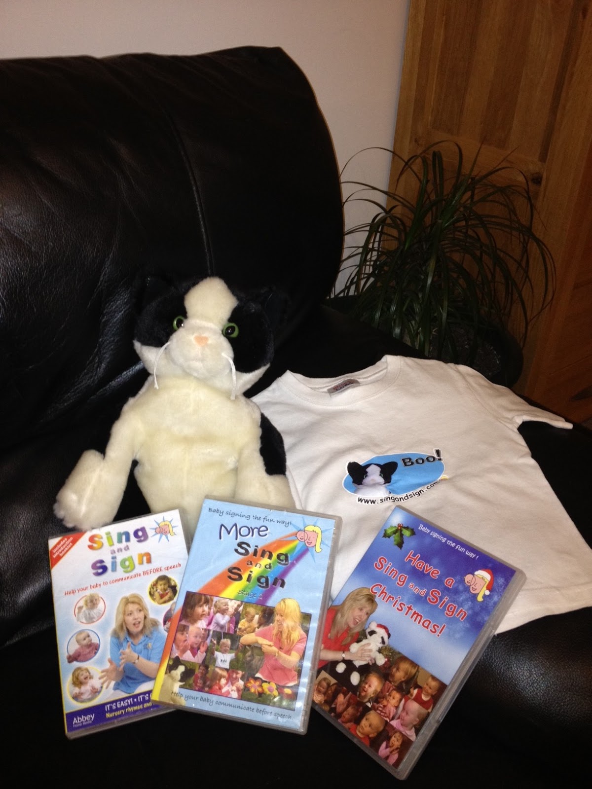 Everyone Sing and Sign ! | Sophia's Choice Green Family Lifestyle