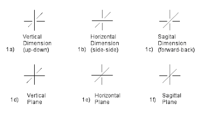 DNB Theory Bulletin Board: Symbols for Dimensions and Planes