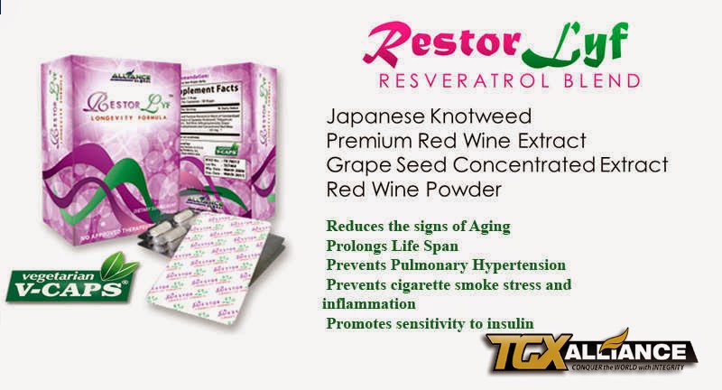 Alliance in Motion Global: Our Products