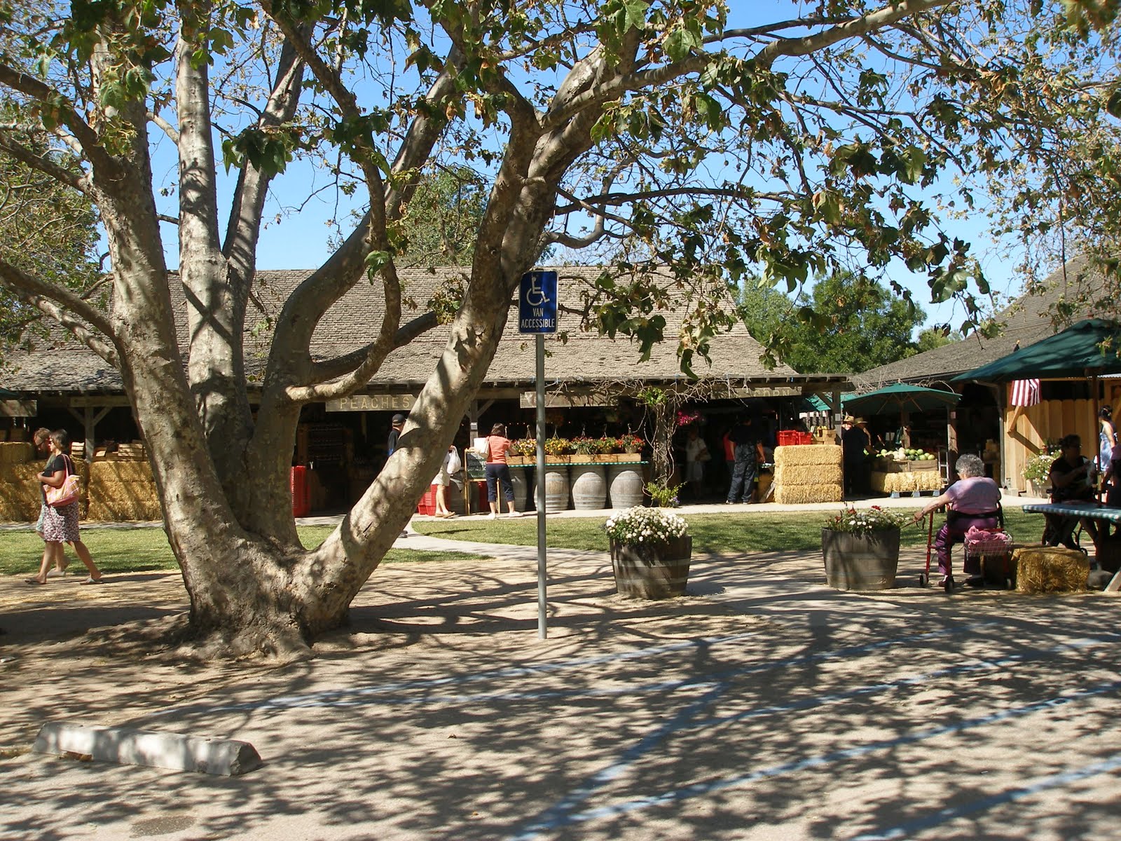 The Tourist Baby: Fun for Kids on California's Central Coast: Avila ...