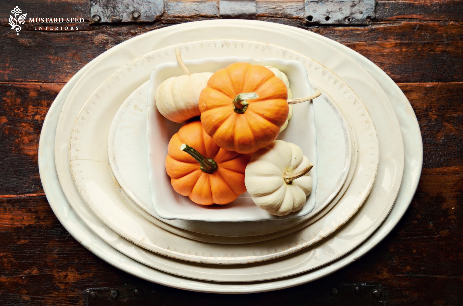 pumpkins - Miss Mustard Seed