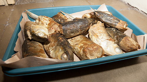 TRADISI PASAR (Lelang) BANDENG DI KOTA GRESIK | z Suara Gresik