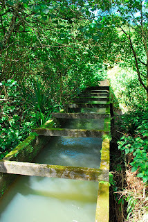 Travels of Note: Hiking Ho’olawa Valley