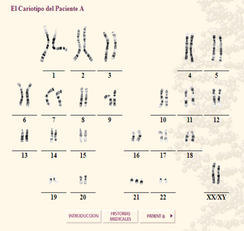 Marcos Silveira el Biólogo: Actividad de los cariotipos.