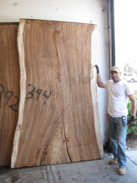 Tropical Exotic Hardwoods: 10 new Parota Crotch Slabs!