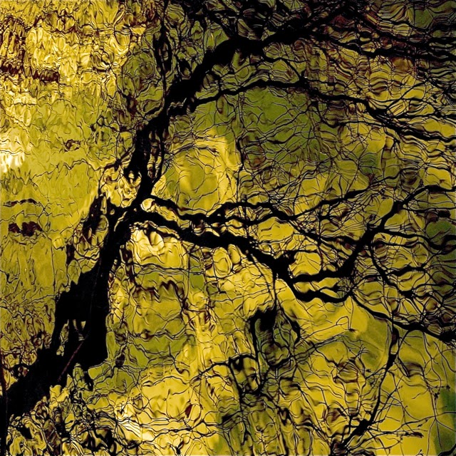 School Of Digital Photography: How To Photograph Reflections In Water