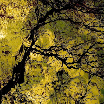 School Of Digital Photography: How To Photograph Reflections In Water