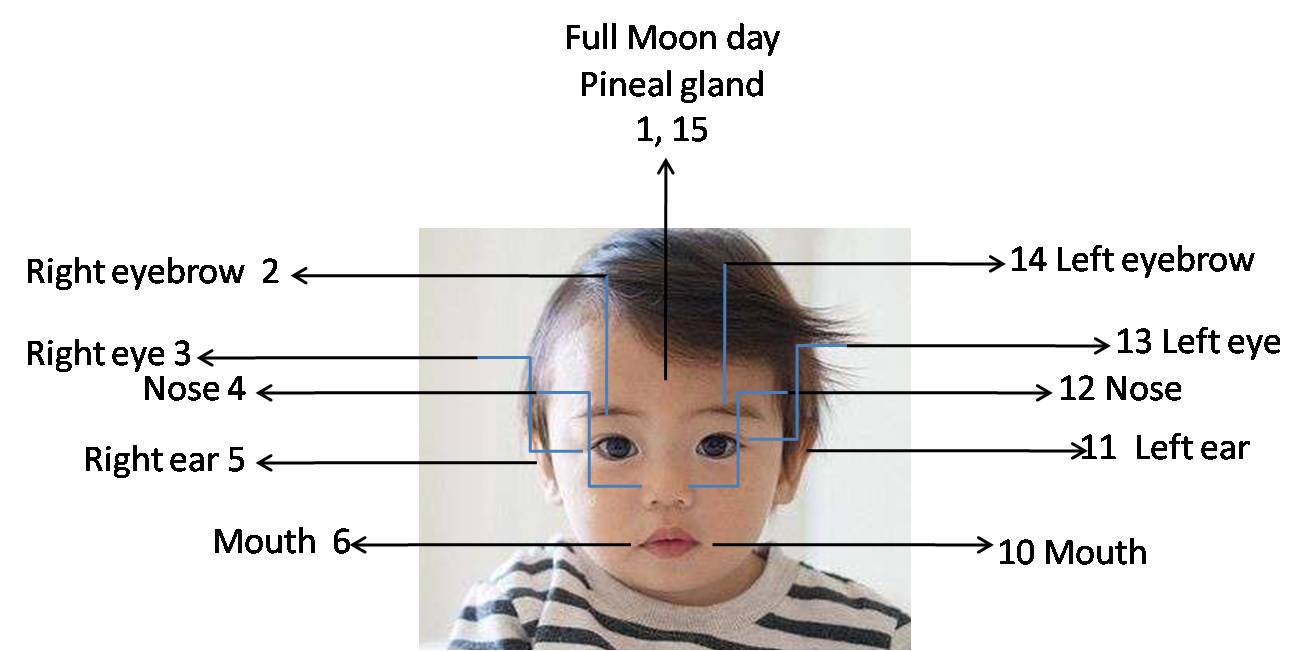 Nectar of Life: Significance of Full Moon and lunar eclipse