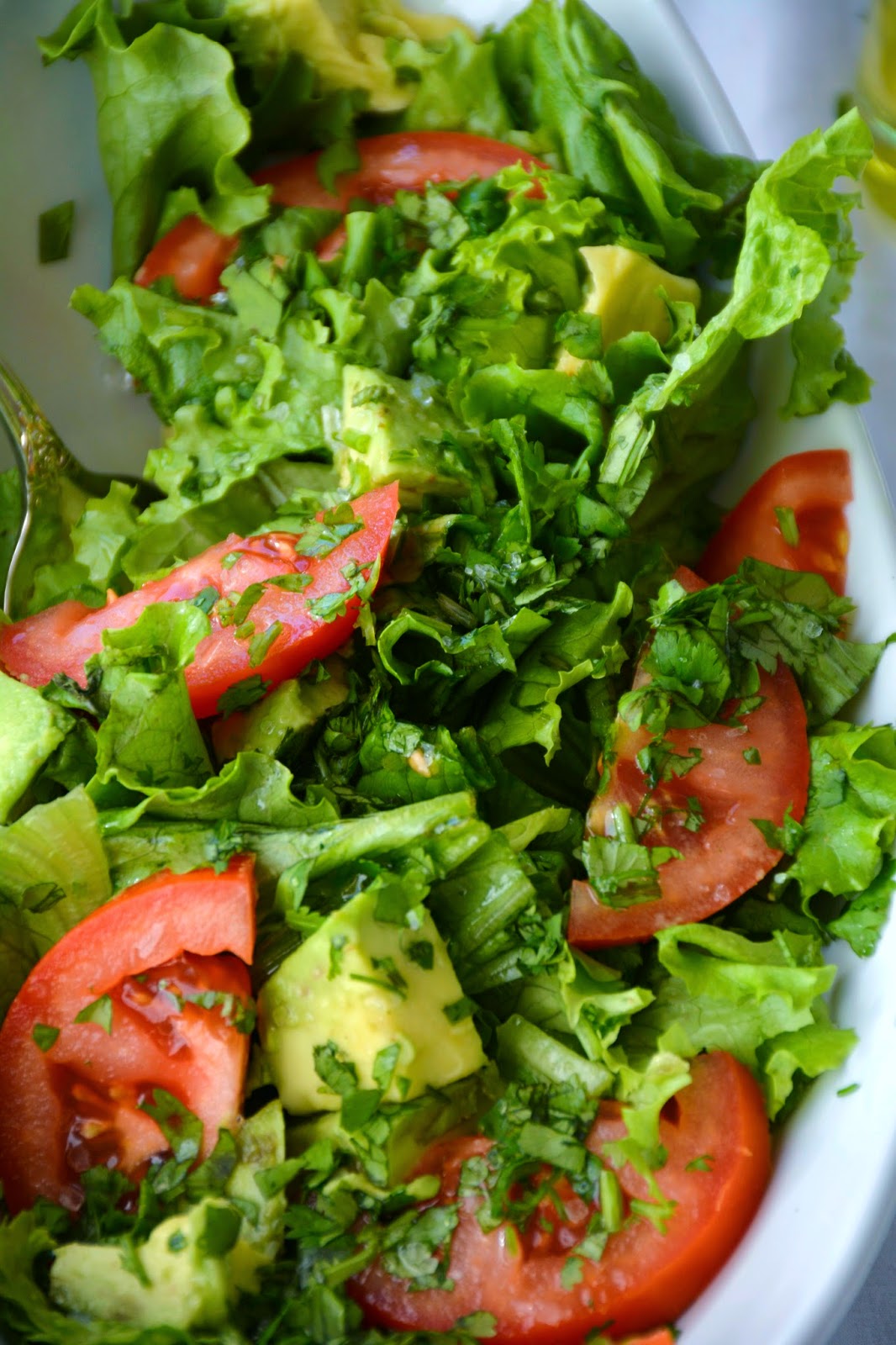 Plentiful Plate : Cilantro, Avocado And Tomato Salad