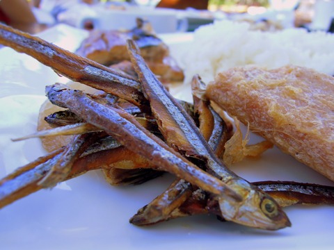 the seasoned first timer: Dipolog Food Trip: Dakak Park & Beach Resort