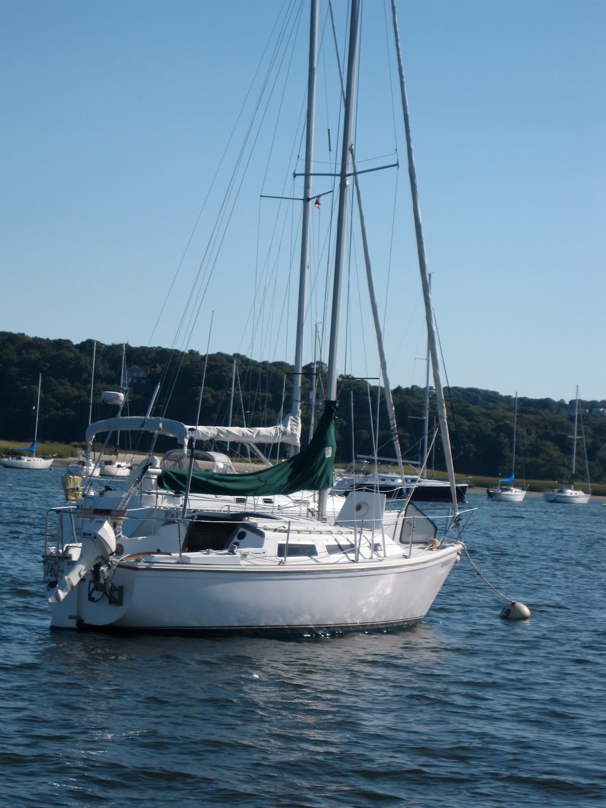 Patience - Catalina 25: Catalina 25 Tiller Redo