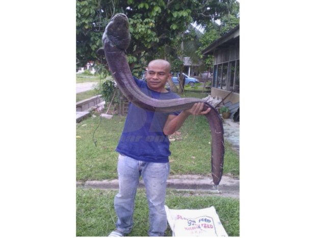 karya ku : paridah ishak: IKAN LINANG..