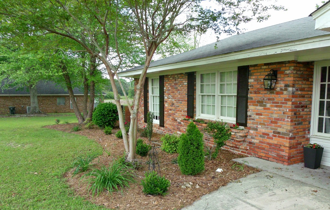 Cultivate Create: Spring Curb Appeal