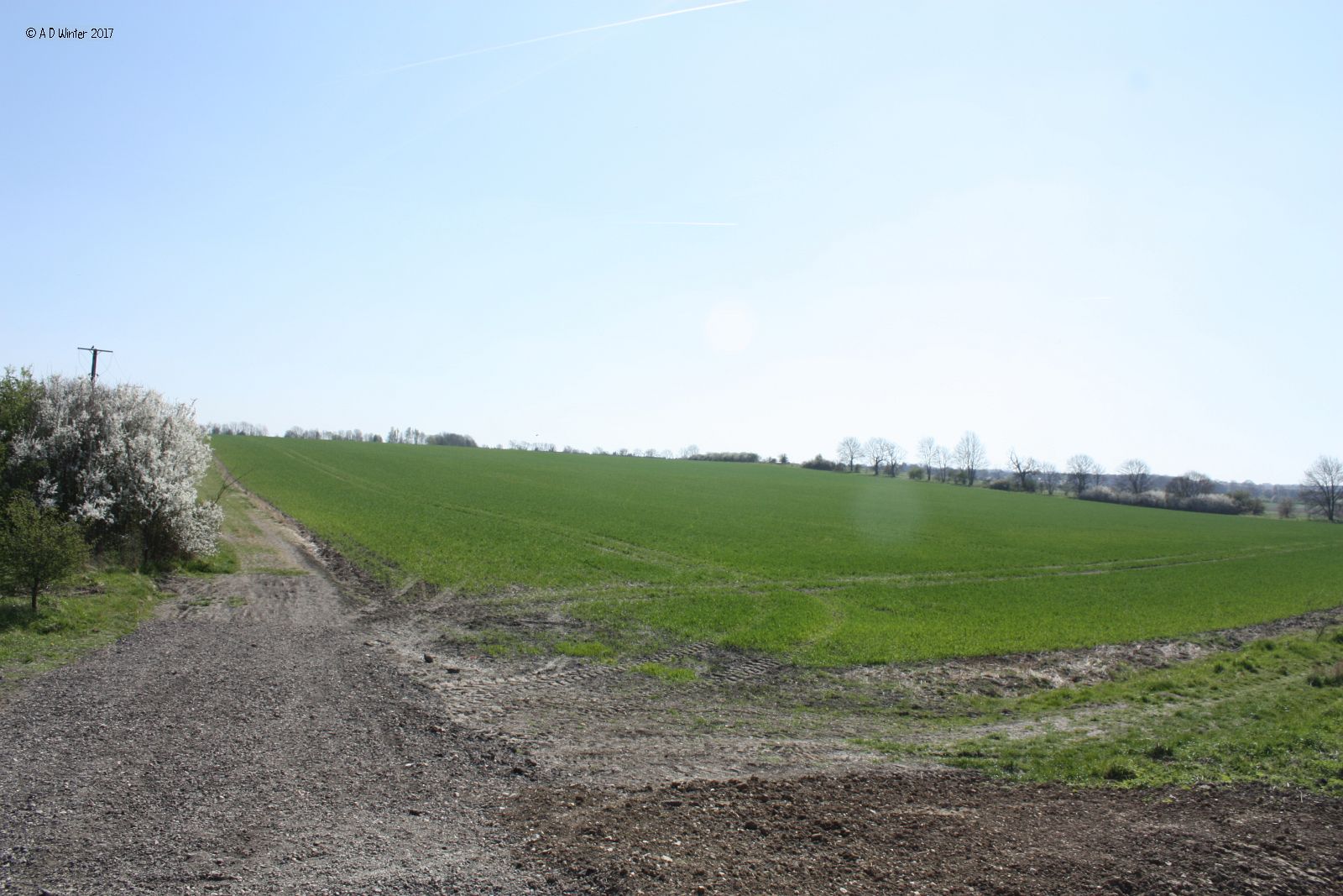 Tithe Farm Walk 2017