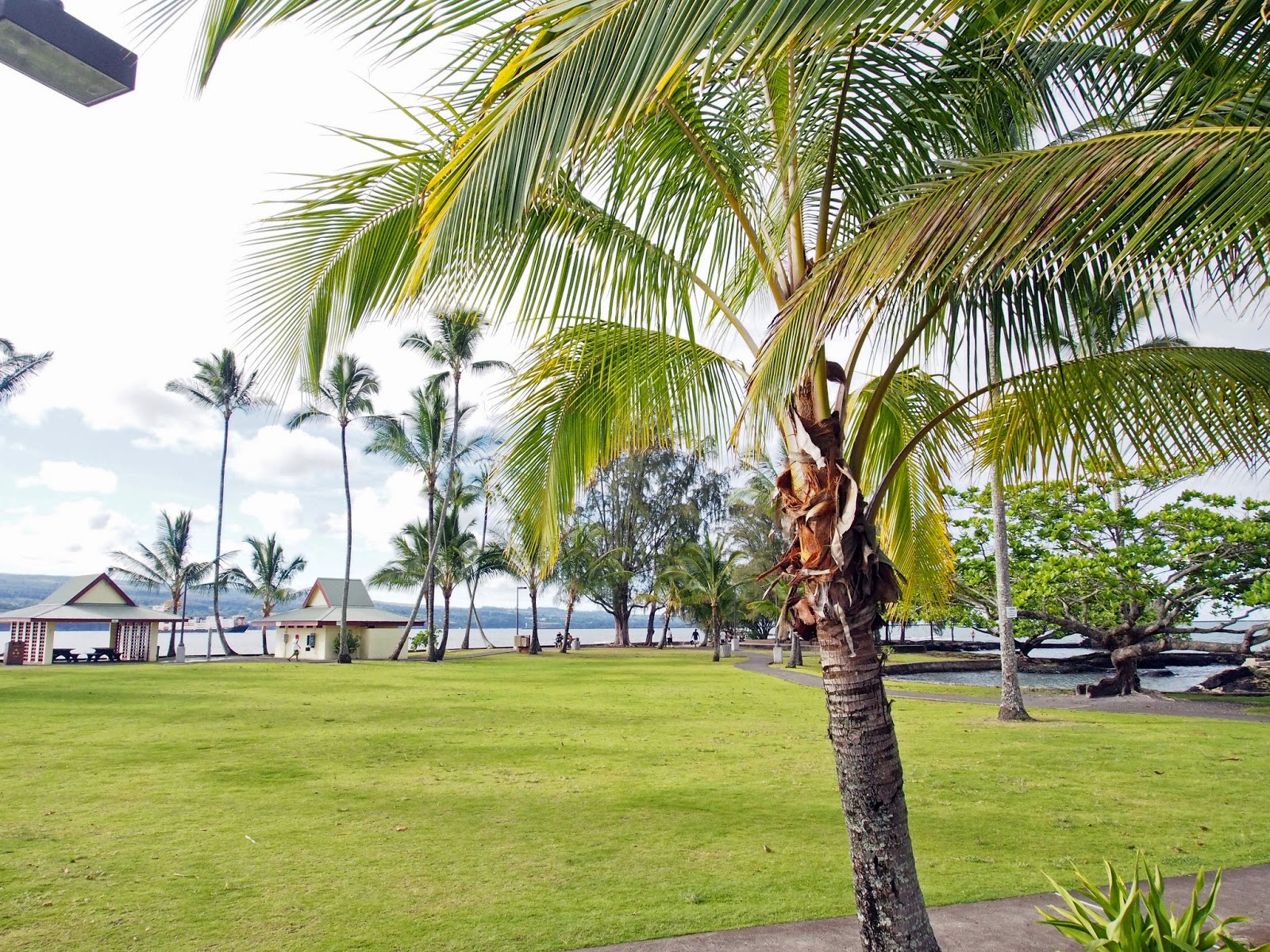 sleepy eye in HAWAII: MOKUOLA (Coconut Island)