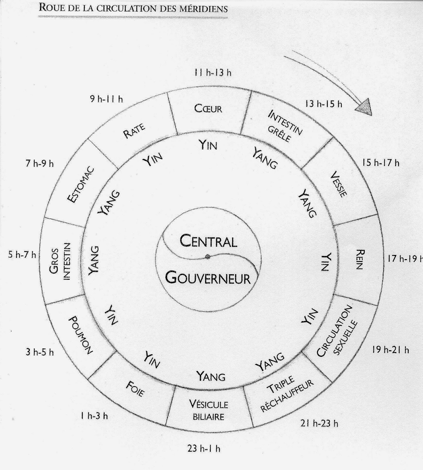 Vivre le Meilleur de Soi : Les Méridiens - Préambule