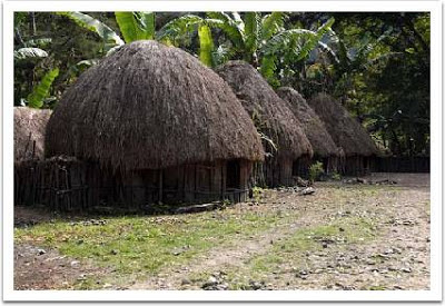 Honai - Papuan Customary home - Life Is Beautiful