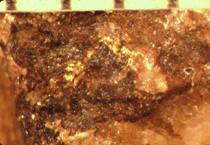 GOLD RUSH | Characteristics of Gold Deposits: Gold and Gossan