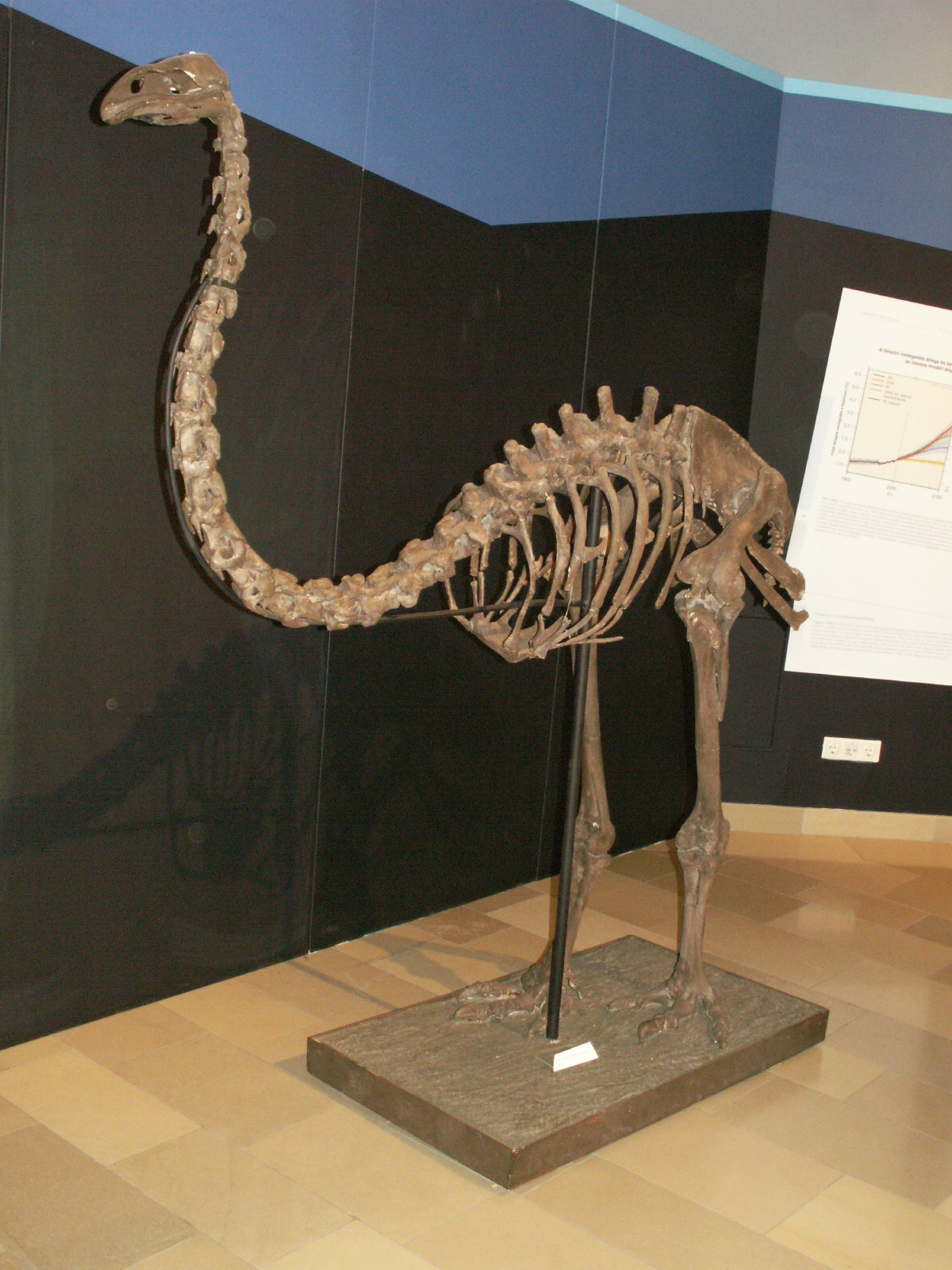 El viaje biológico : La moa, el ave gigante de Nueva Zelanda