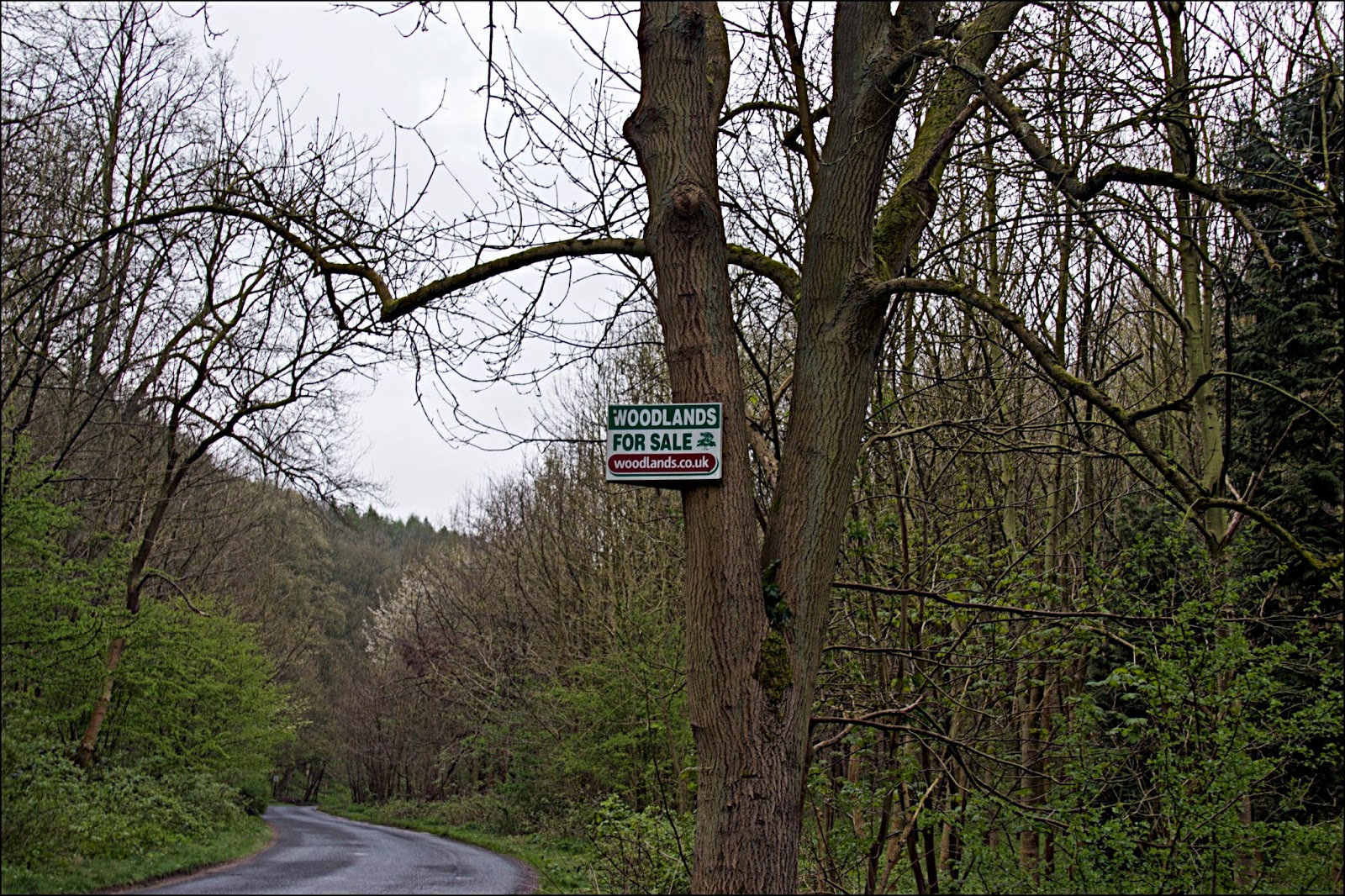 Brian's Blog: Brantingham Dale in Black and White and Colour April 2017