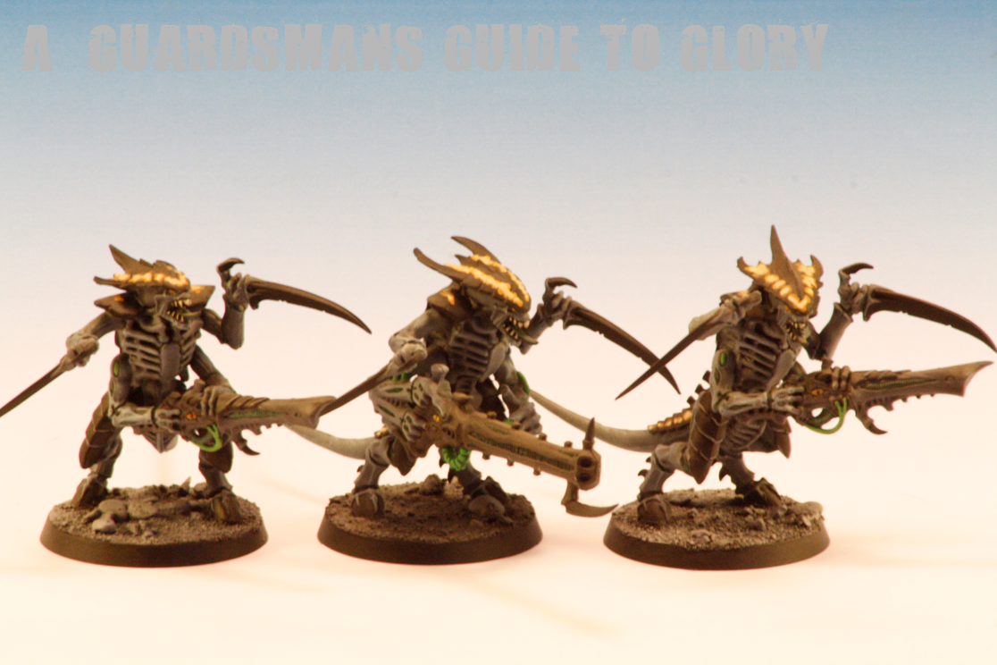A Guardsman's Guide to Glory: Tyranid Army Showcase