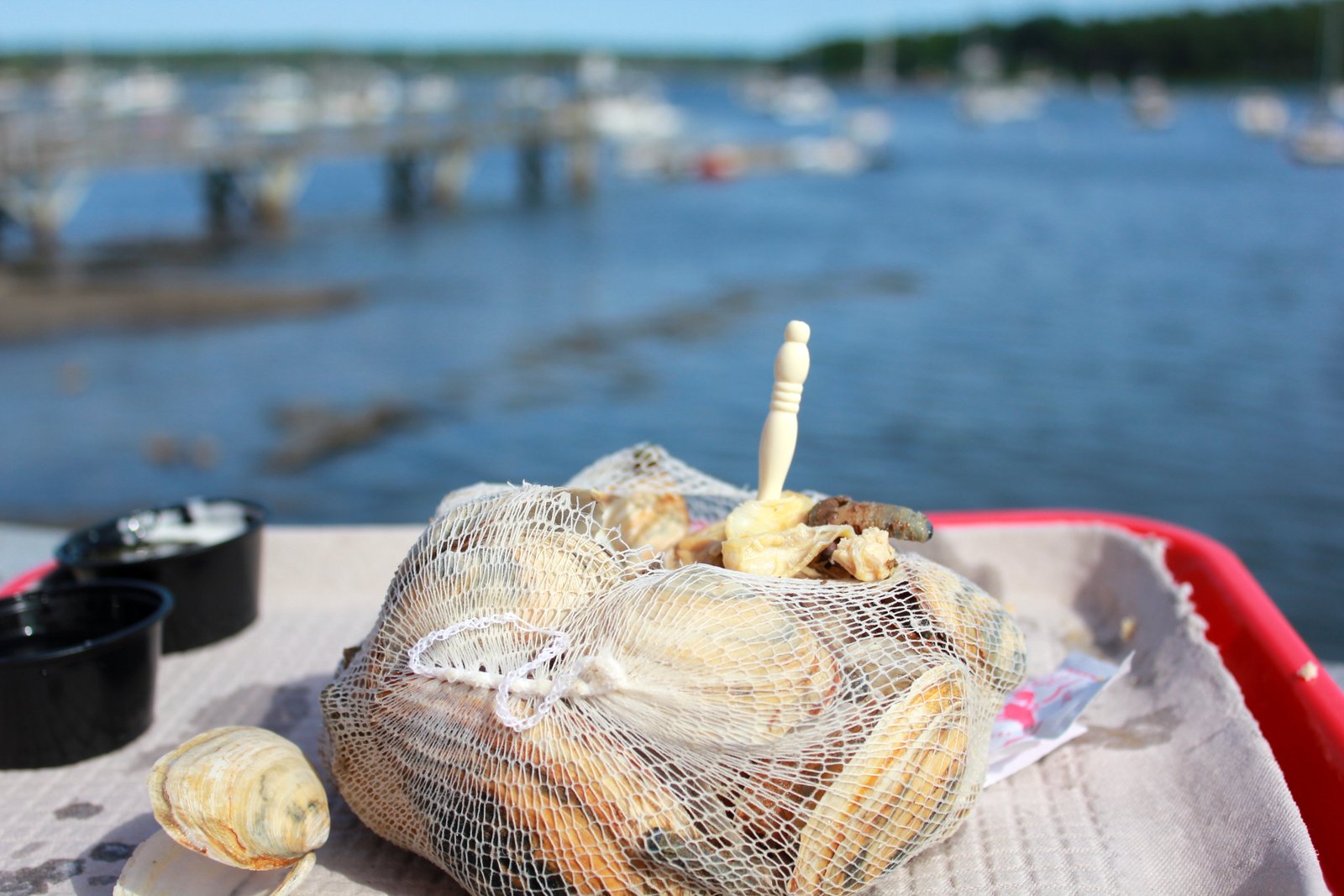 Salt Water New England: Steamed Clams and Mussels