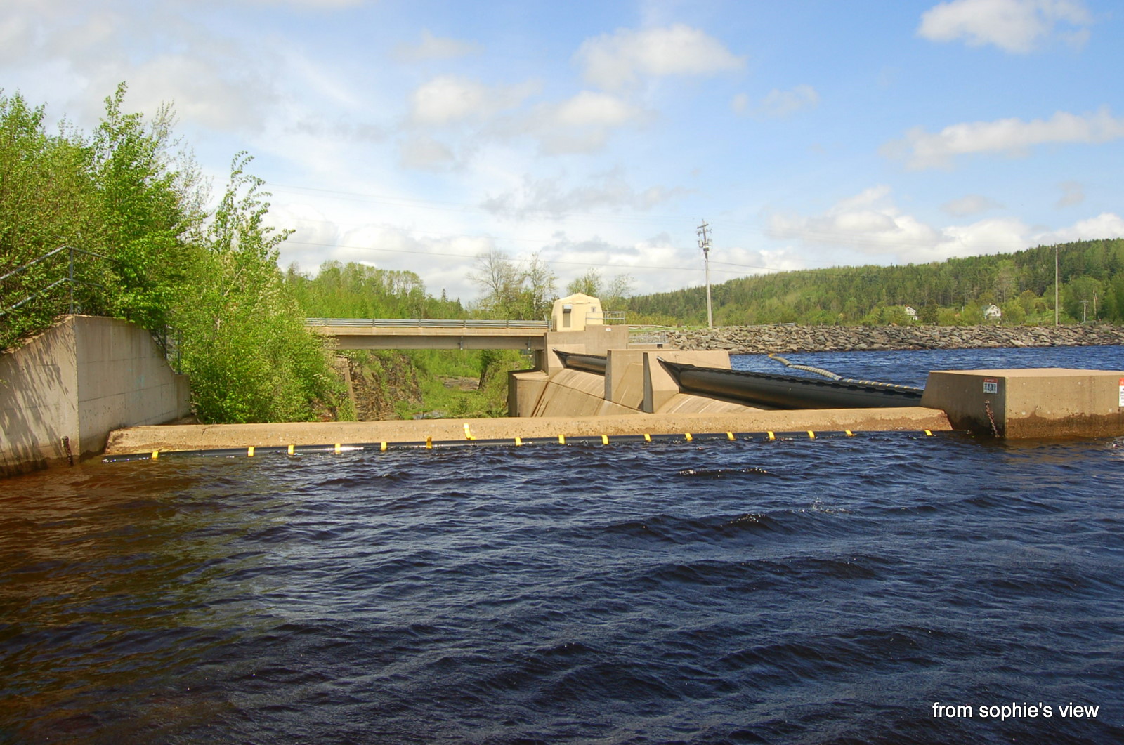 "from sophie's view": Lumsden Pond at Lumsden Dam!