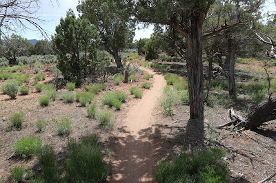 gjhikes.com: Trust Loop