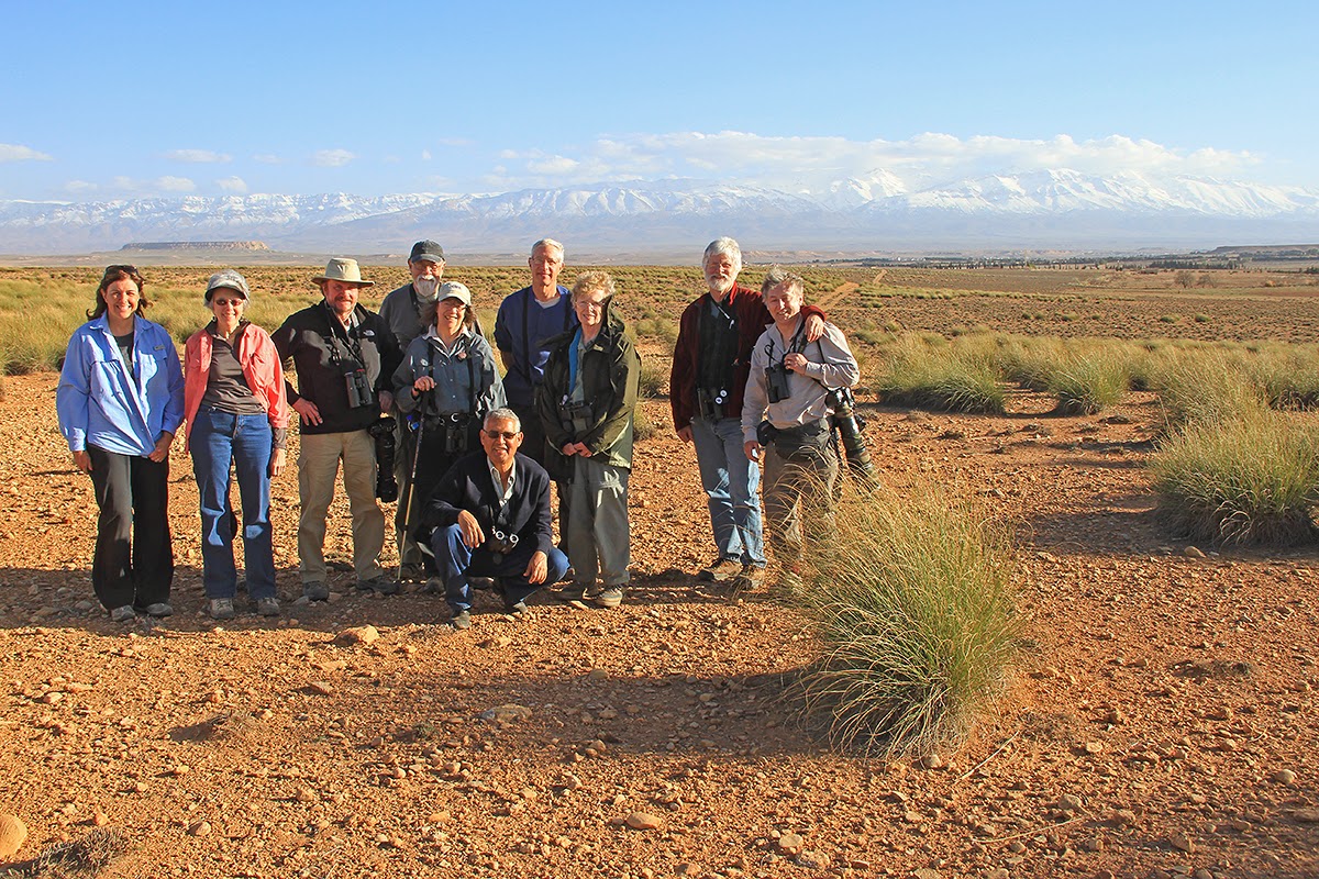 Slow Birding: Morocco--Day 5: Dayet Aoua and Zeida Plain