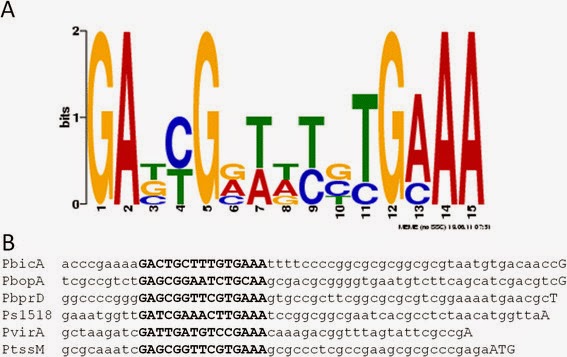 All about Bioinformatics: Few terms in bioinformatics which seems funny ...