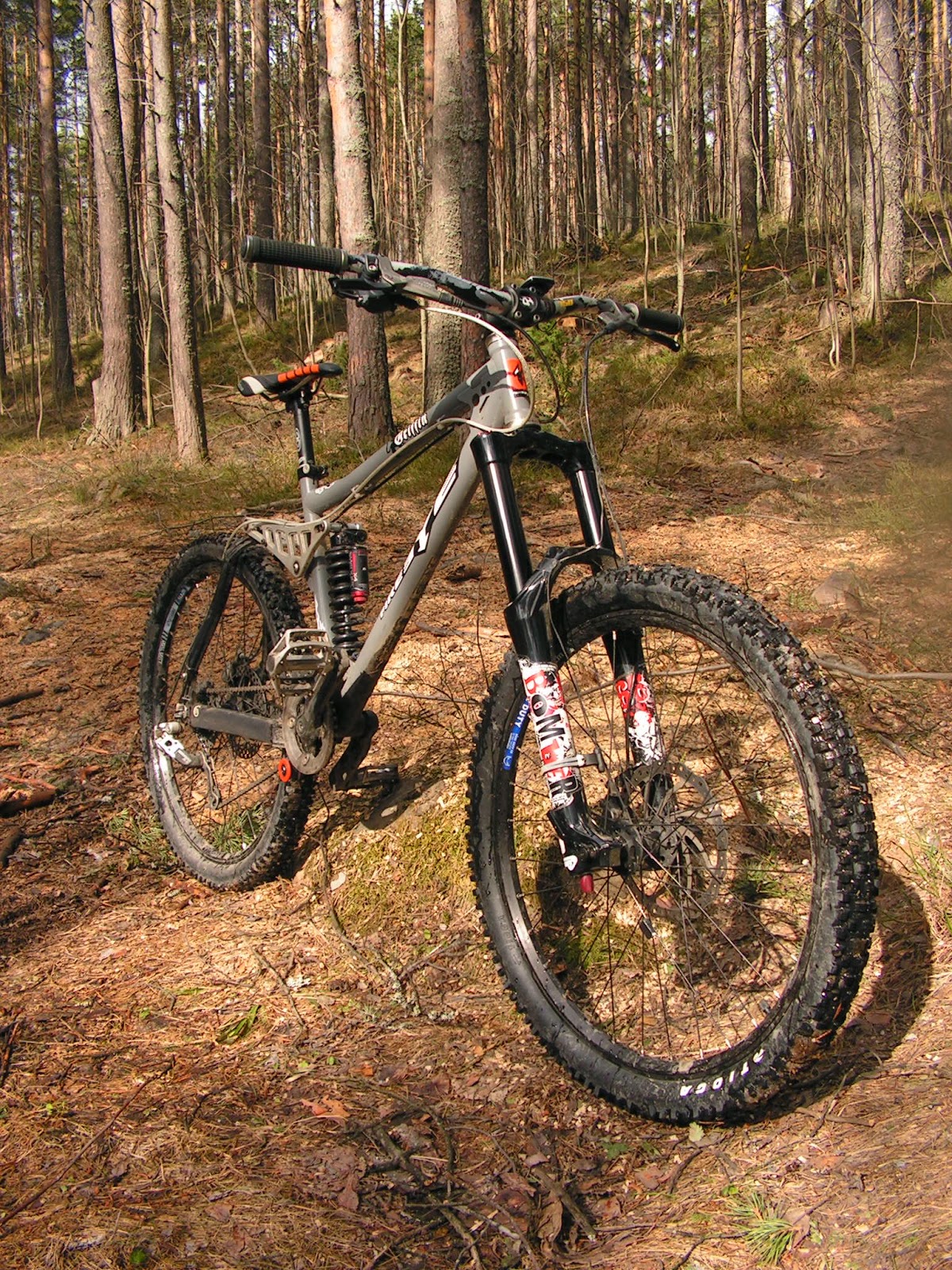 Van's Mountain Bike: My Bikes from 2007 till 2013. Part 2. Fireeye Griffin