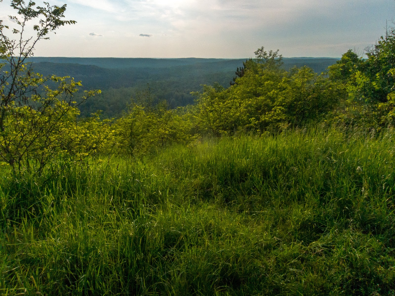 Eric's Hikes: Jordan River Pathway/NCT loop