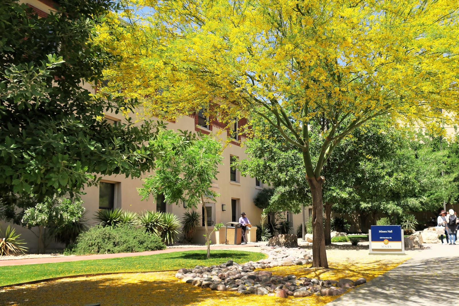 Living Rootless: El Paso: UTEP: Sun and Grace