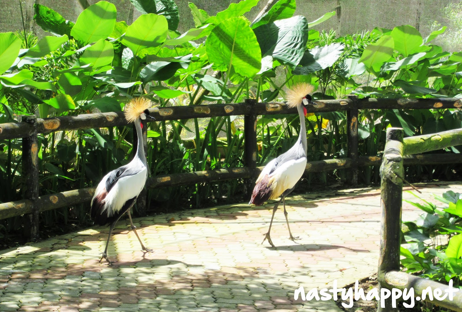 Labuan Island (Places to visit in Labuan, Part 1) ~ Nasty Happy