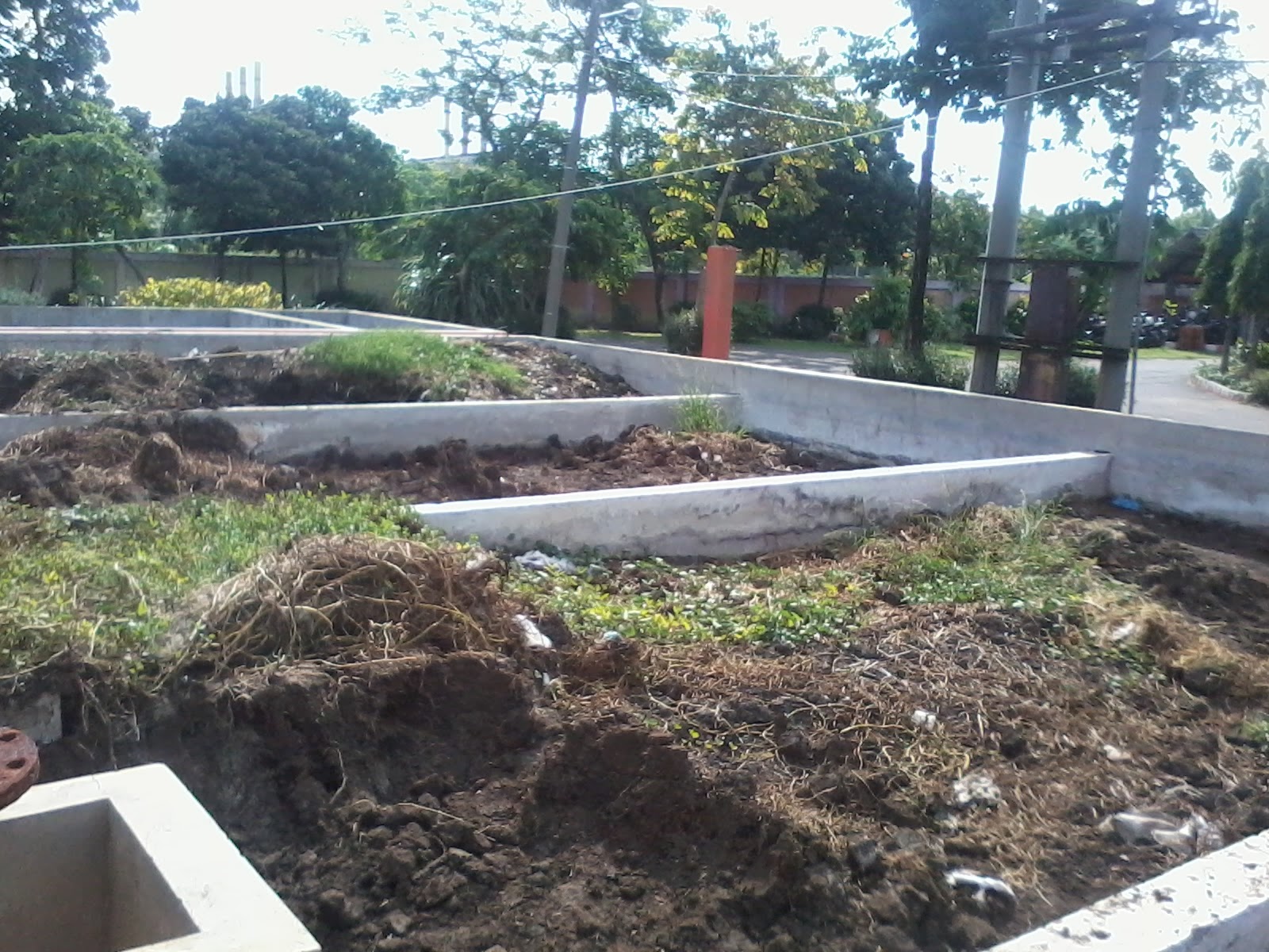 Instalasi Pengolahan Limbah Tinja (IPLT) Keputih Surabaya