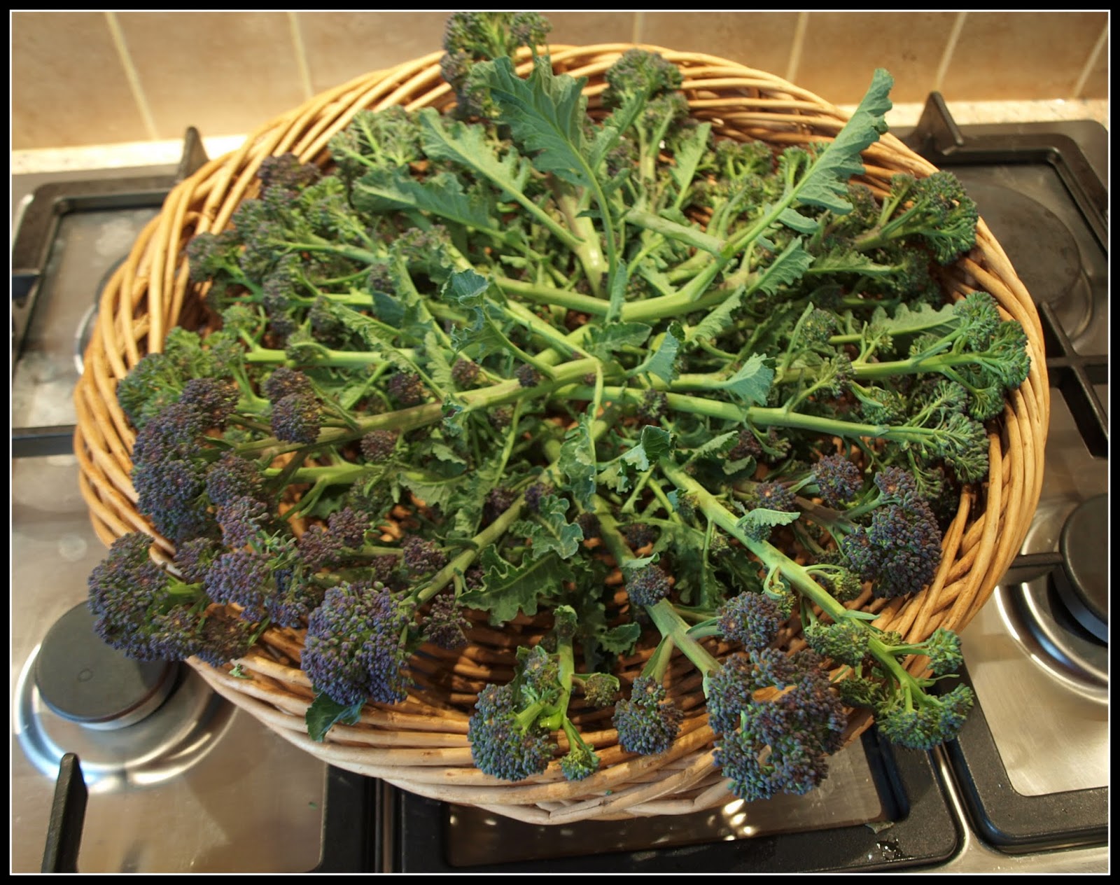 Mark's Veg Plot: Harvest Monday - Broccoli again!