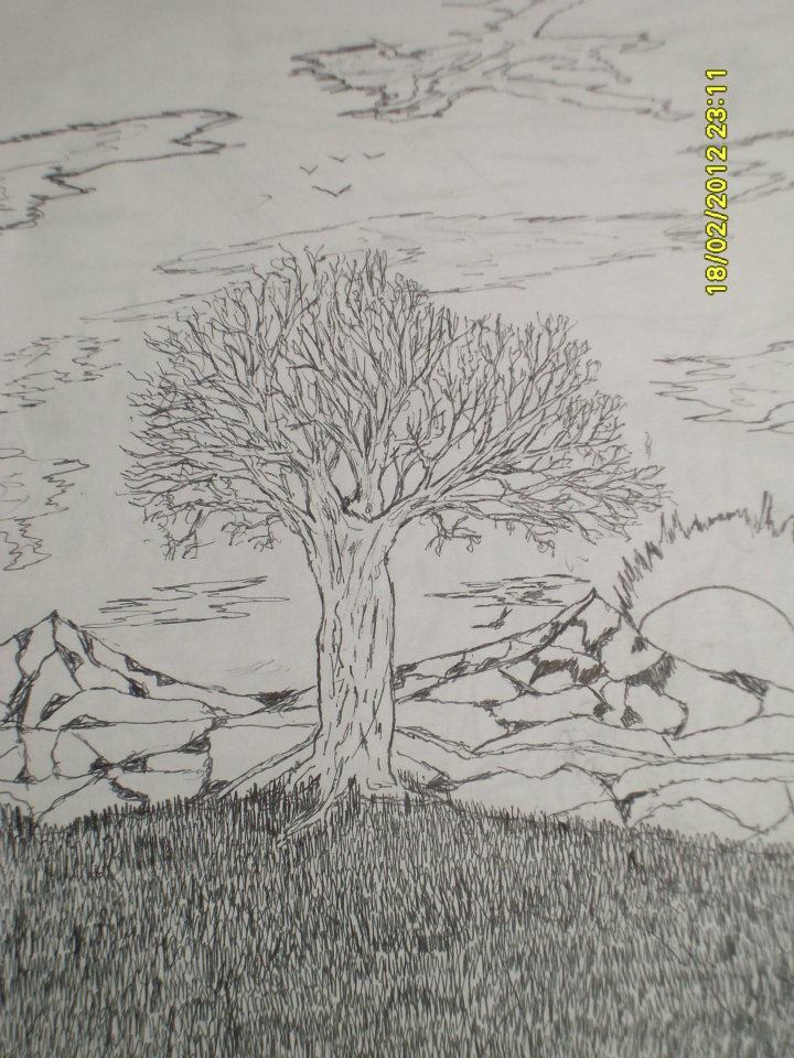 Francisco´s Drawings