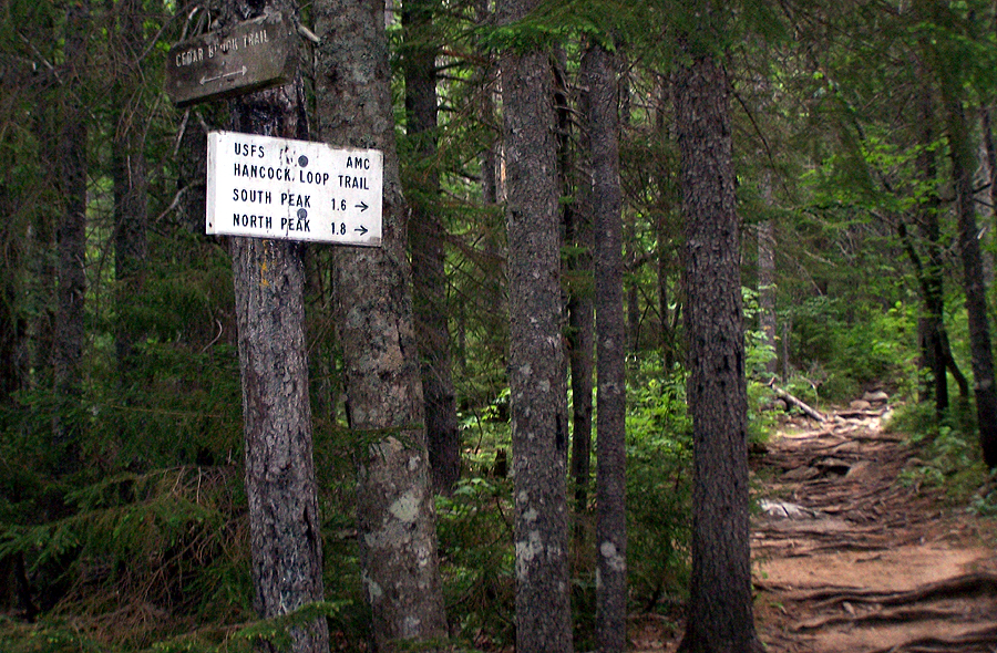 Hiking in the White Mountains: North Hancock and South Hancock