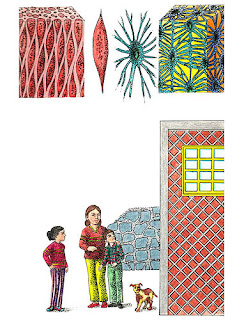 actividades inicial: material para inicial