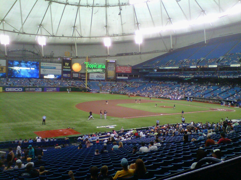 Barney's New Adventure: The Rays Game