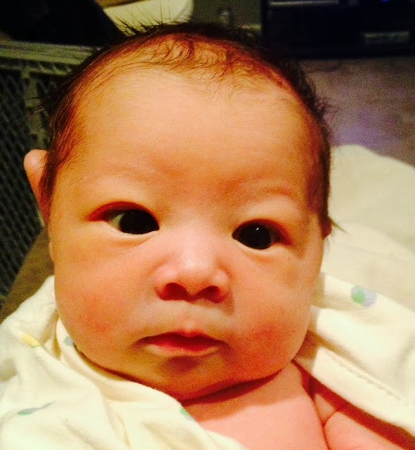 Introducing Aimee Rose!